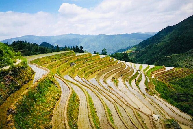 Private Day Tour to Longji Rice Terraces from Yangshuo - Who Should Consider This Tour?