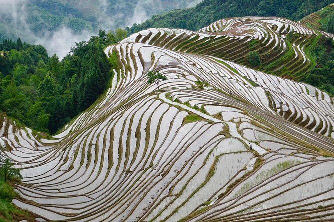 Private Day Tour to Longji Rice Terraces from Yangshuo - FAQs