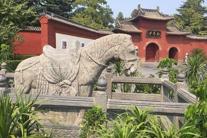 Private Day Tour to Luoyang's Top 3 Must See Attractions - Lunch and the White Horse Temple
