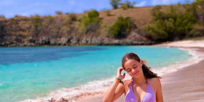 Private day tour to pink beach-sand island-gili petelu - Key Points