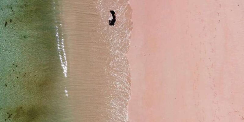 Private day tour to pink beach-sand island-gili petelu - Who Will Love This Tour?