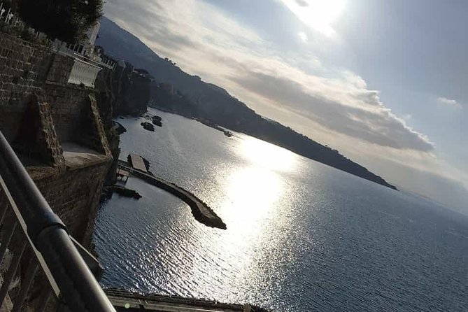 Private Day Tour to Pompei ,Winery, Sorrento From Napoli/Salerno/Amalfi/Positano - Key Points
