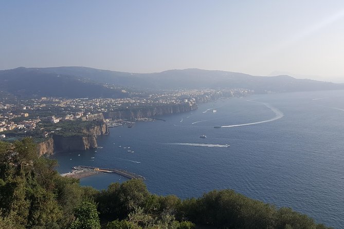 Private Day Tour to Pompei ,Winery, Sorrento From Napoli/Salerno/Amalfi/Positano - Inclusions