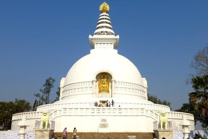 Private Day Tour to Rajgir and Nalanda from Bodhgaya - Final Thoughts: An Authentic and Comfortable Day Out