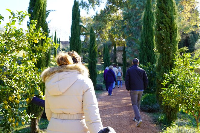 Private day Tour to Ronda from Malaga by ELECTRIC CAR - The Value of This Tour