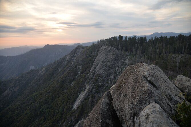Private Day Tour to Sequoia and Kings Canyon Parks From LA - Analyzing the Value