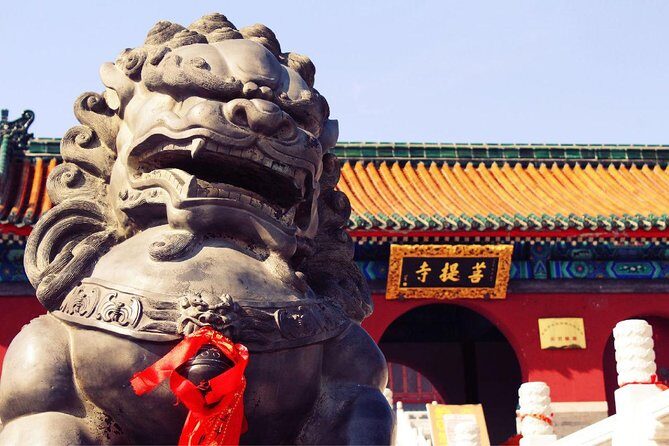 Private Day Tour to Shaolin Temple from Beijing by Bullet Train with Kungfu Show - The Itinerary in Detail