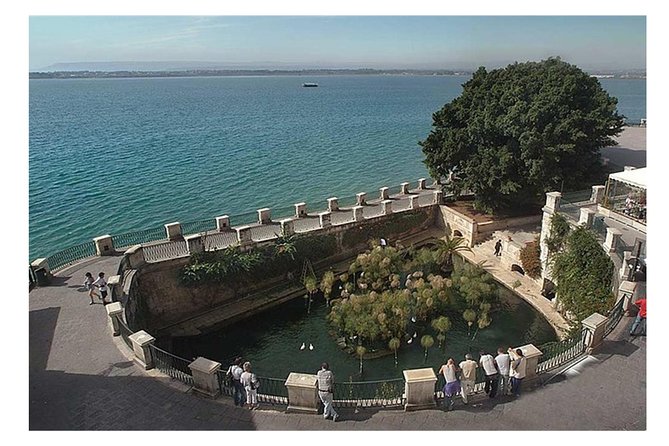 Private Day Tour to Syracuse and Noto - Exploring Syracuse’s Archaeological Heart