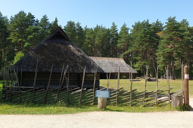 Private Day tour to Tallinn from Helsinki. All transfers included - Practical Details and Additional Insights