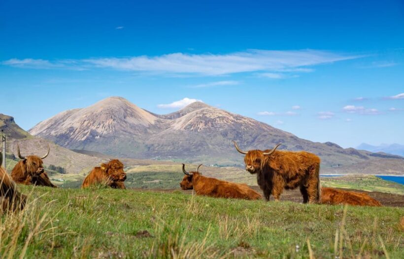 Private Day Tour to the Famous Glenfinnan, Glencoe & More - FAQ