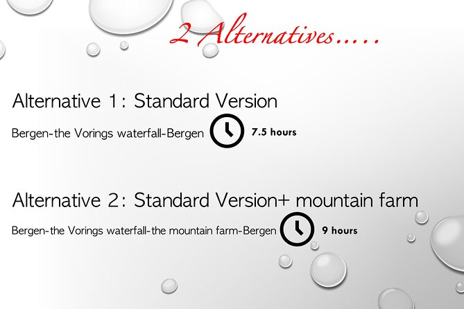 Private Day Tour to the Vorings Waterfall— Norways Most Visited - Private Transportation and Meeting Details