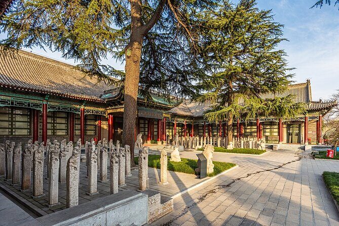 Private day tour to Xi 'an Highlights Museum - Introduction