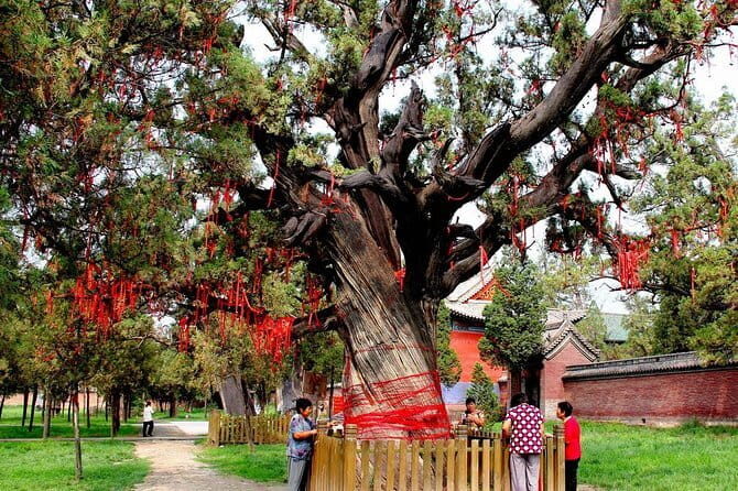 Private Day Tour to Zhongyue Temple and Shaolin Temple from Luoyang - Key Points