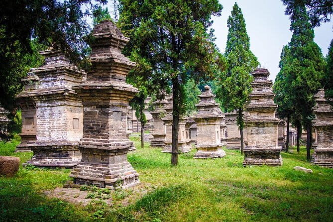 Private Day Tour to Zhongyue Temple and Shaolin Temple from Luoyang - What Travelers Are Saying