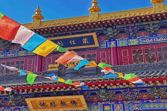 Private Day Tour: Xi'an PandaQI ZAIand City Highlights - Who Should Book This Tour?