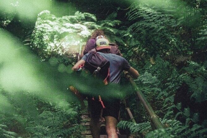 Private Day Trip at the Blue Mountains - What’s Included and What’s Not