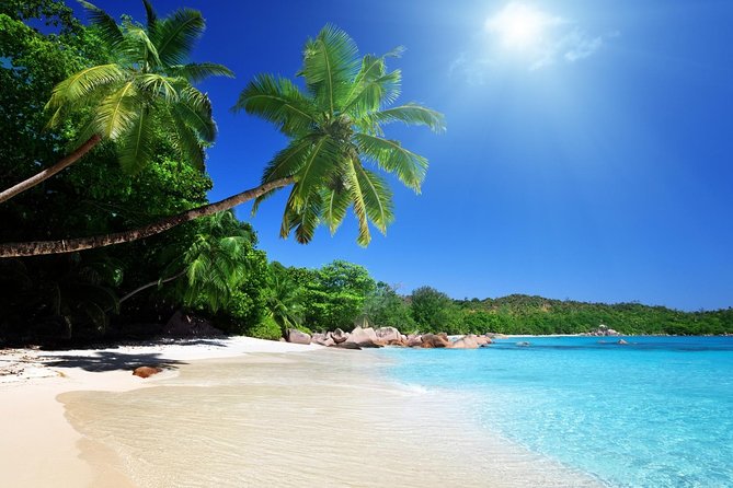 Private Day Trip Cebu to Bohol w/ Chocolate Hills & Loboc Cruise - The True Value of This Tour