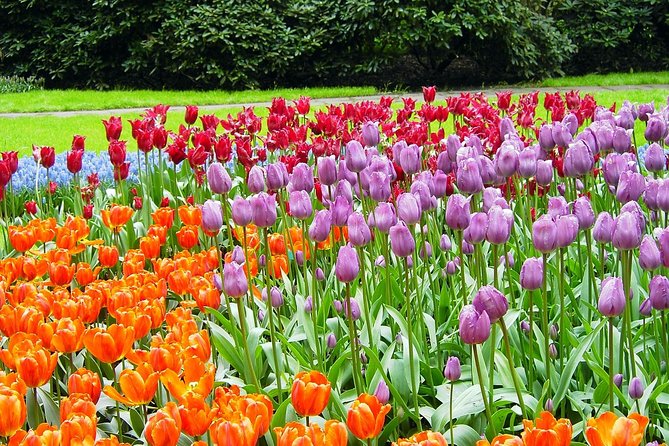 Private Day Trip from Amsterdam to Keukenhof with Entrance Tickets - Why This Tour Works Well