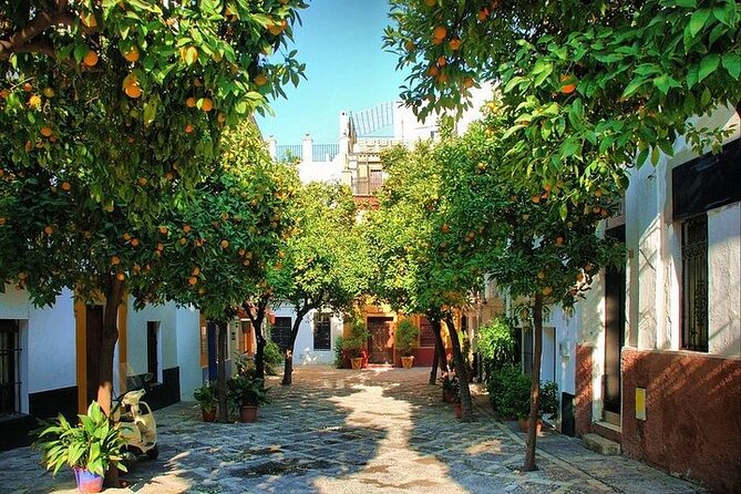 Private Day Trip From Cadiz Port to Seville (Tickets and Transport Included) - Pricing Details and Group Rates