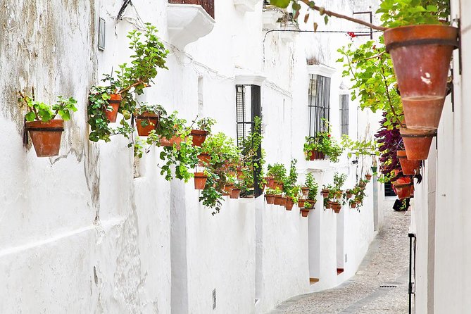 *Private Day Trip* from Cádiz: The White Towns of Andalusia - The Value and Price Consideration
