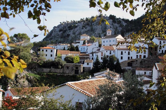 *Private Day Trip* from Cádiz: The White Towns of Andalusia - Who Should Consider This Tour?