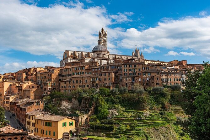 Private day trip from Florence to Pisa, San Gimignano and Siena - Introduction