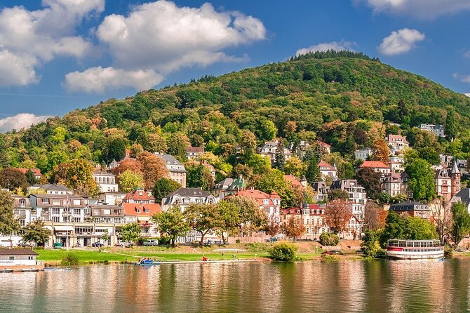Private day trip: from Frankfurt to Heidelberg and back - FAQ