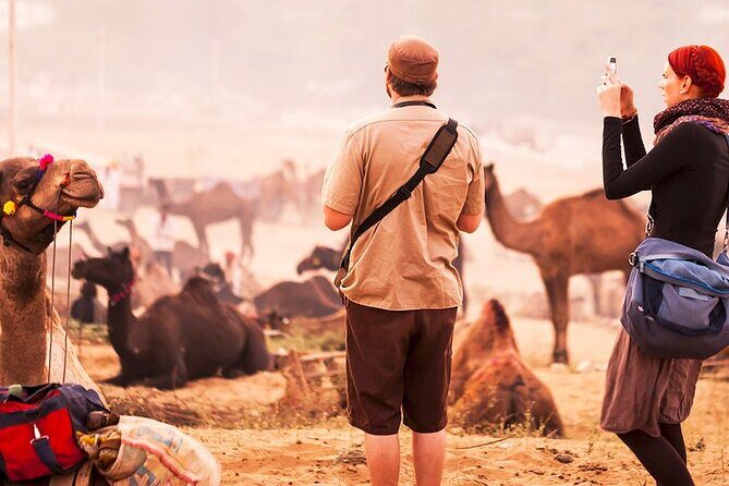 Private Day Trip from Jaipur to Ajmer & Pushkar - Authenticity and Traveler Experiences