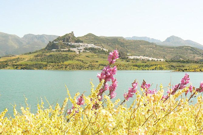 *Private Day Trip* from Jerez: The White Towns of Andalusia - Authentic Experiences & Honest Insights