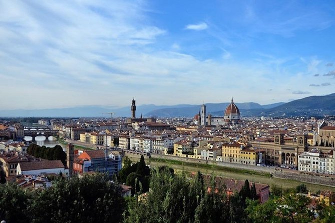 Private Day Trip From Livorno Port to Florence and Pisa - Customer Feedback and Insights
