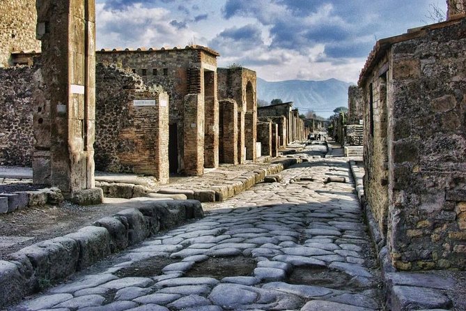 Private Day trip from Rome to Pompeii with official guide inside Ruins - Why This Tour Offers Good Value
