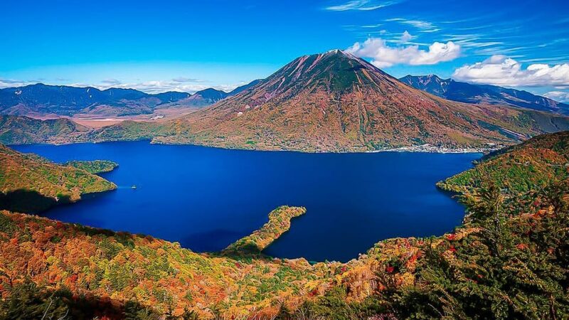 Private Day Trip From Tokyo to Nikko: Explore World Heritage - Exploring the Toshogu Shrine