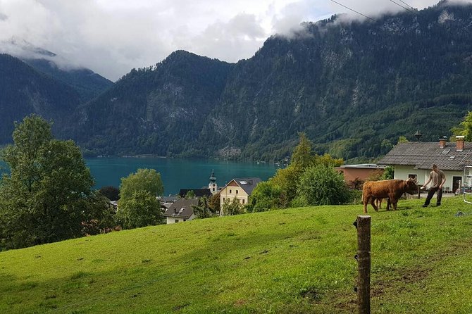 Private Day Trip From Vienna to Hallstatt - Planning Your Private Day Trip