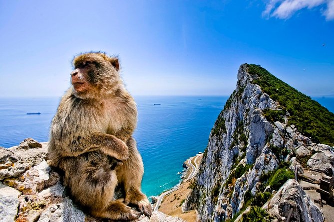 *Private Day Trip* Gibraltar and Bolonia from Jerez - What to Expect and Why It Matters