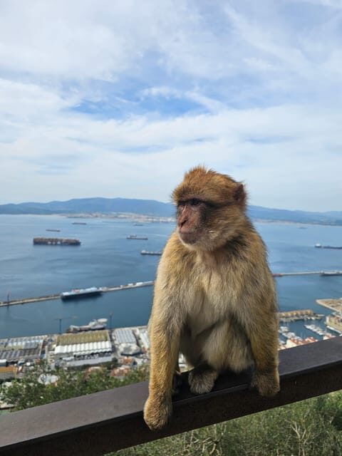 Private Day Trip: Gibraltar & (Tangier) Morocco from Seville - A detailed look at the tour