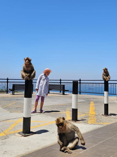 Private Day Trip: Gibraltar & (Tangier) Morocco from Seville - Frequently Asked Questions