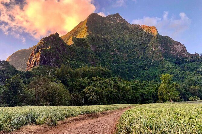 Private Day Trip Hike and Boat in Moorea - Practical Details and Considerations