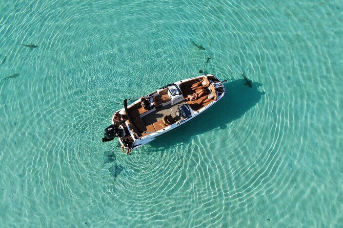 Private Day Trip Hike and Boat in Moorea - Final Thoughts