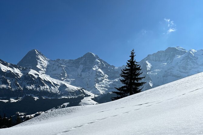 Private Day Trip in the Heart of the ALPS - Jungfrau Region - Practical Details: Transportation, Timing, and Cost