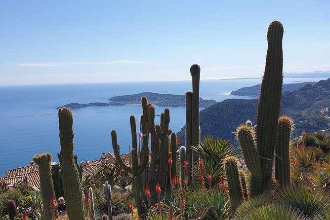 Private Day Trip Italian Riviera - Pricing and Value