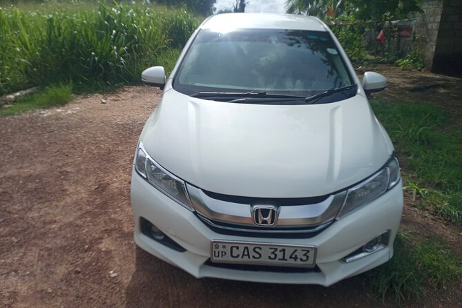 Private Day trip Kandy & pinnawala with your selected attractions - Who Will Love This Tour?