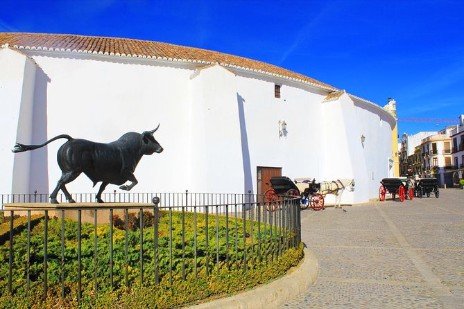 *Private Day Trip* Ronda and Setenil de las Bodegas from Jerez - FAQ