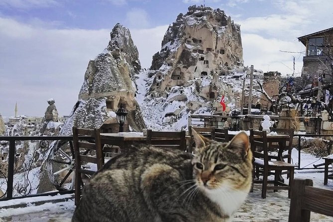 Private Day Trip to Cappadocia From Istanbul - Customer Reviews and Experiences