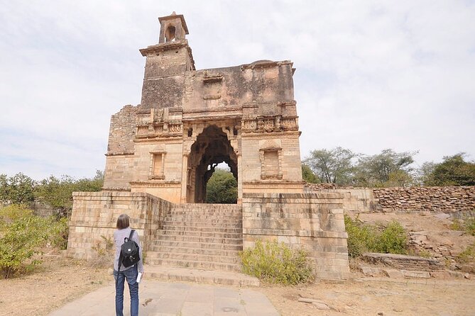 Private Day Trip to Chittorgarh from Udaipur with Guide Option - Who Will Love This Tour?