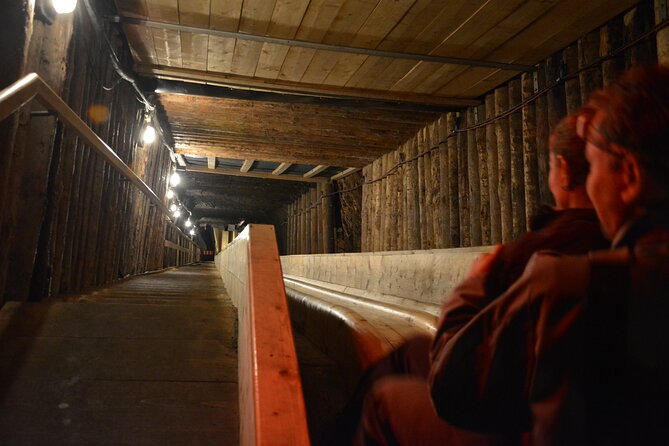 Private Day Trip to Hallstat & Salt Mine from Vienna with a local - In-Depth Look at the Itinerary