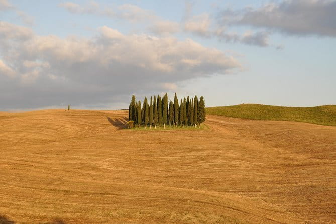 Private Day Trip to Montalcino and Montepulciano from Florence - What Makes This Tour Stand Out?