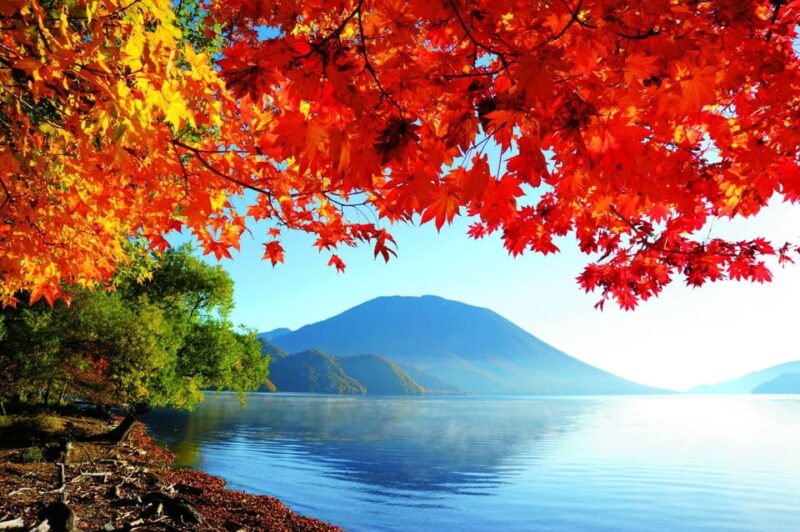 Private Day Trip to Nikko With English Speaking Guides - Inclusions