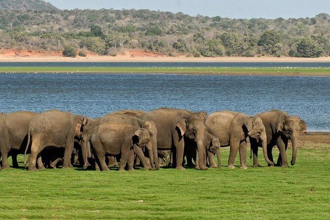Private Day Trip to Pidurangala Rock & Jeep Safari From Colombo - Frequently Asked Questions