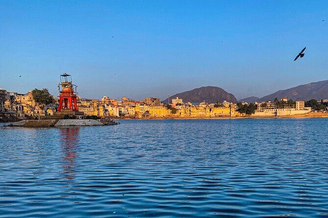 Private Day Trip to Pushkar From Jaipur - What You’ll Experience and What It Means for You