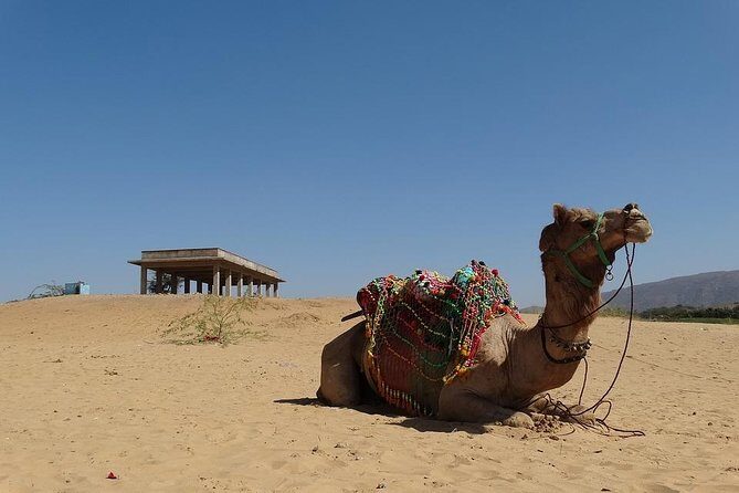 Private day trip to Pushkar from Jaipur - FAQ